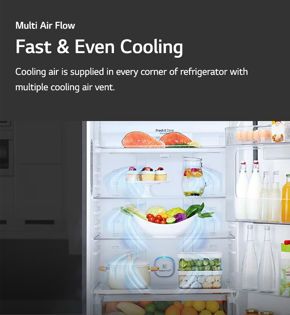 LG 360L 2 Door Top Freezer Refrigerators with Door Cooling+ GN-B332 ...