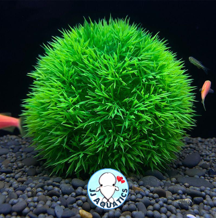 🔥Ready Stock 🔥Artificial Moss Fake Plant Round Moss Algae Landscaping ...