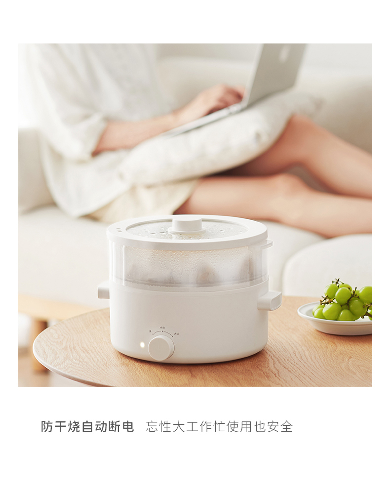 Olayks Multifunction Electric Cooker With Steamer Steamboat Cooker ...