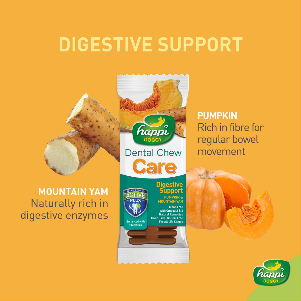 Happi Doggy Soft Chew - Dental Chew Care (150g x 18 Pcs) | Shopee Malaysia