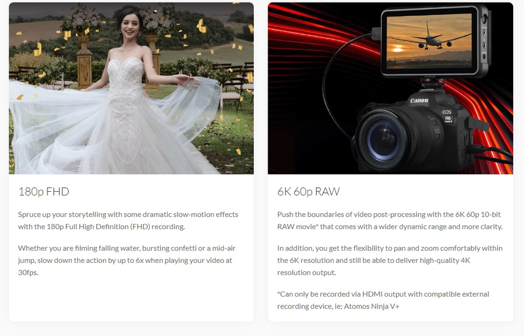 Canon EOS R6 Mark II / EOS R6 II / EOS R6II Mirrorless Camera + RF 24 ...