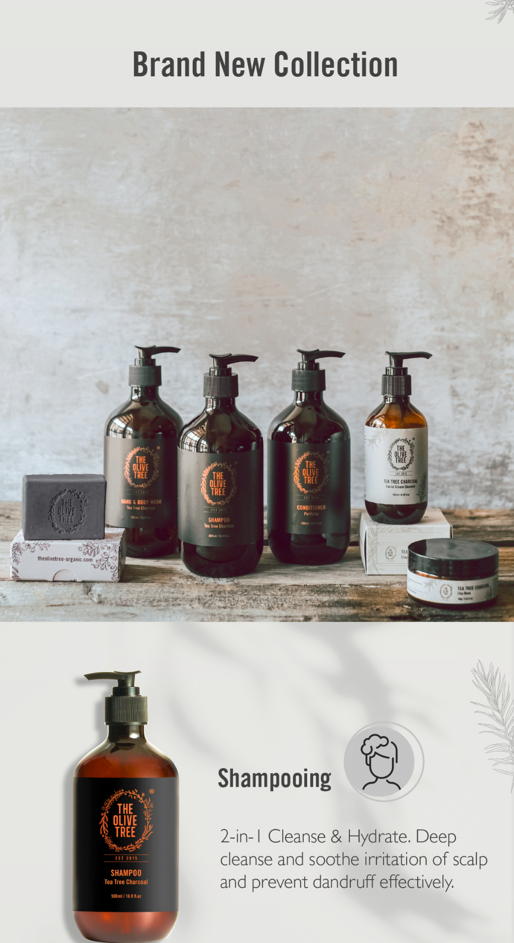 The Olive Tree Tea Tree Charcoal Shampoo + Conditioner Set For Dandruff ...