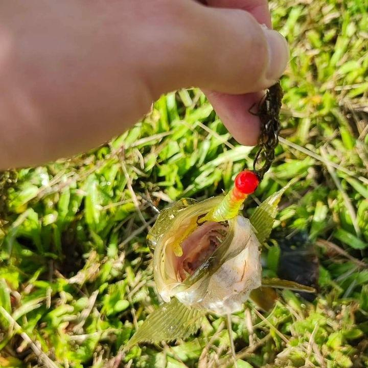 Soft Plastic 5CM (50Ekor+5 Mata Kail ) Random Color | Shopee Malaysia
