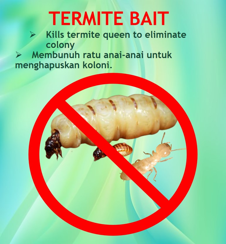 Termite Bait DIY Umpan Anai-Anai DIY Kills termite queen to eliminate colony | Shopee Malaysia