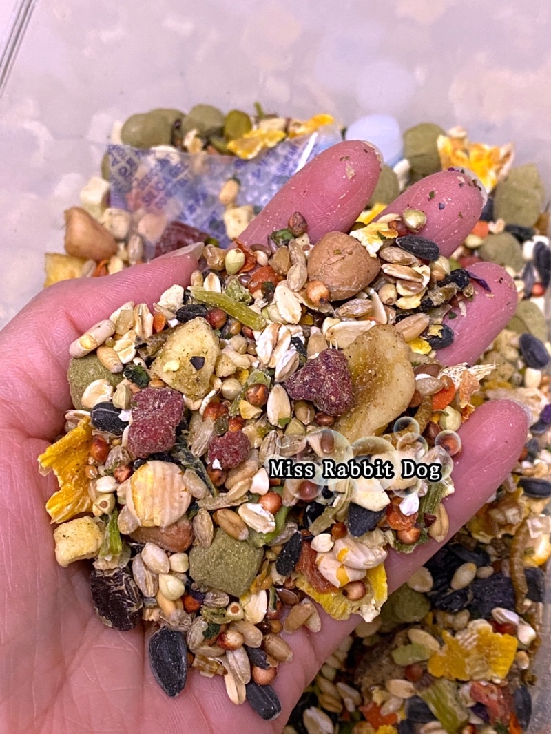 2024 /5月/6月 Eco Forest Complete Syrian Hamster Diet Gerbil & Dwarf ...