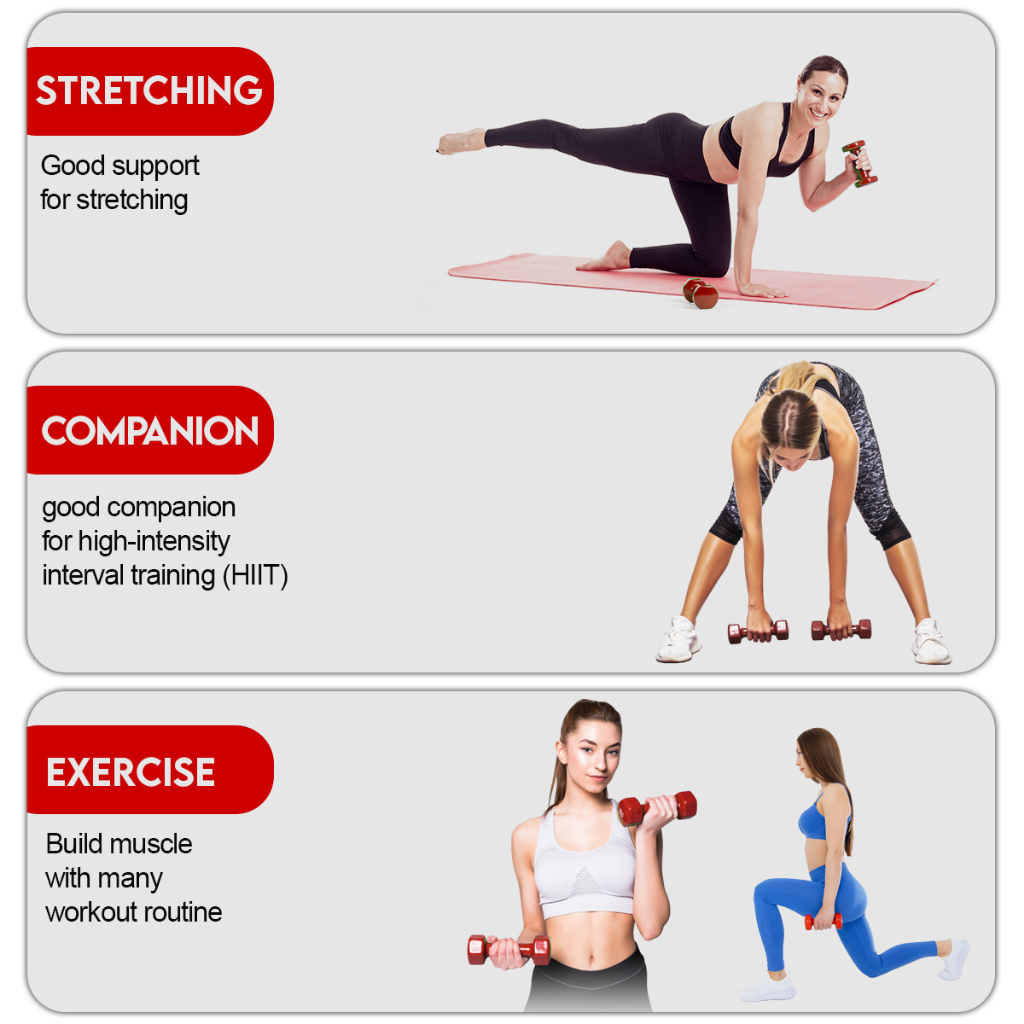Vigor Fitness Vinyl Dumbbell Lady Dumbbell In (1 Pairs / 2 x 2kg ...