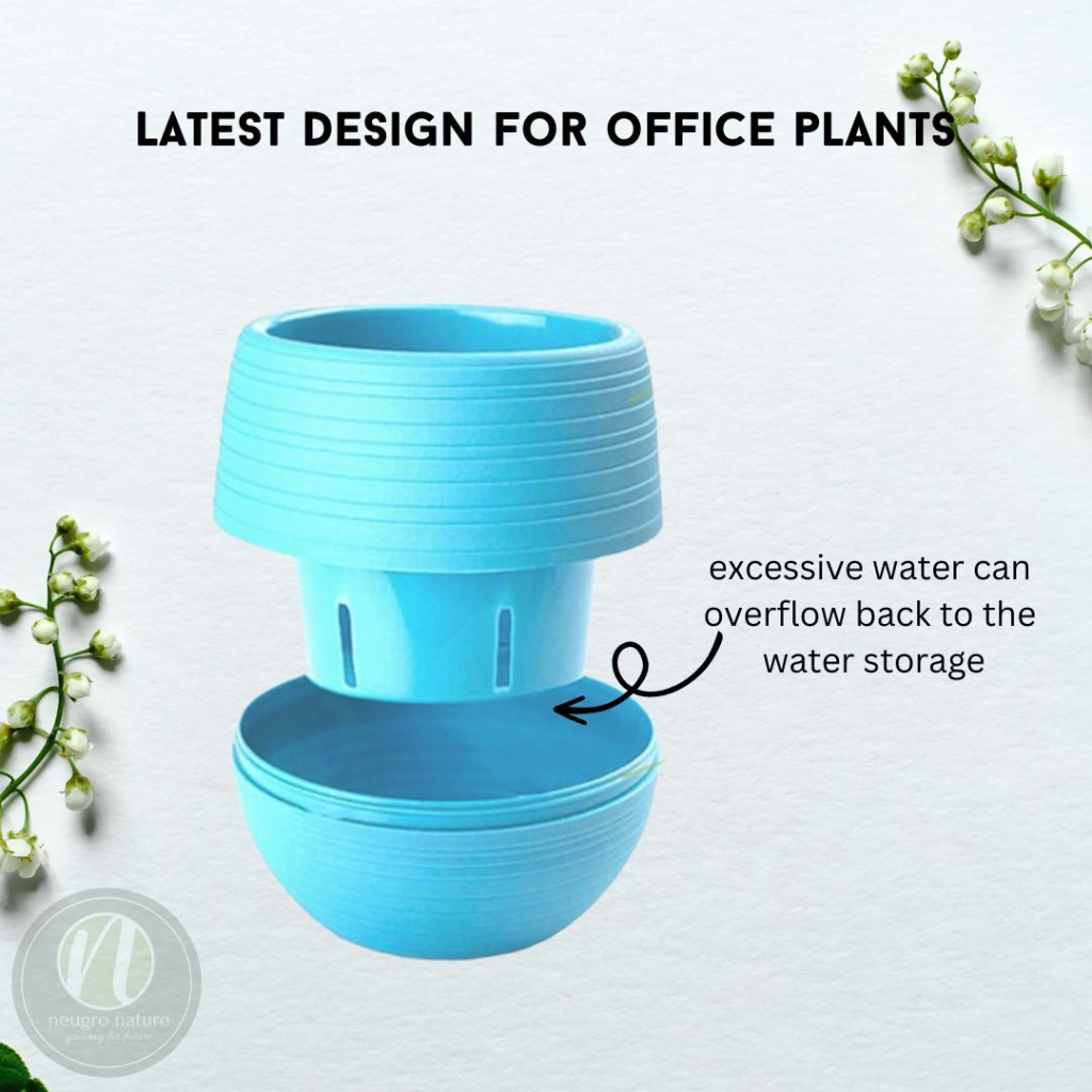 Mini Office Succulent Plant Pot Pasu Bunga Mini 7cm Diameter/ Tumbuhan ...