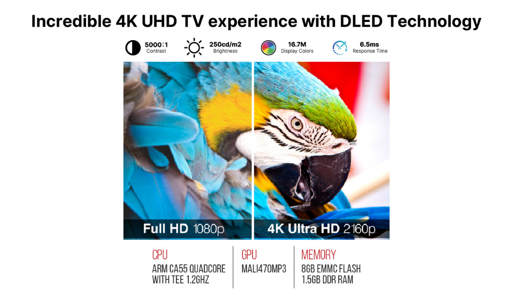 SAMView 4K UHD QLED Licensed Google TV / DLED Licensed Google TV with Netflix (65") | Shopee ...