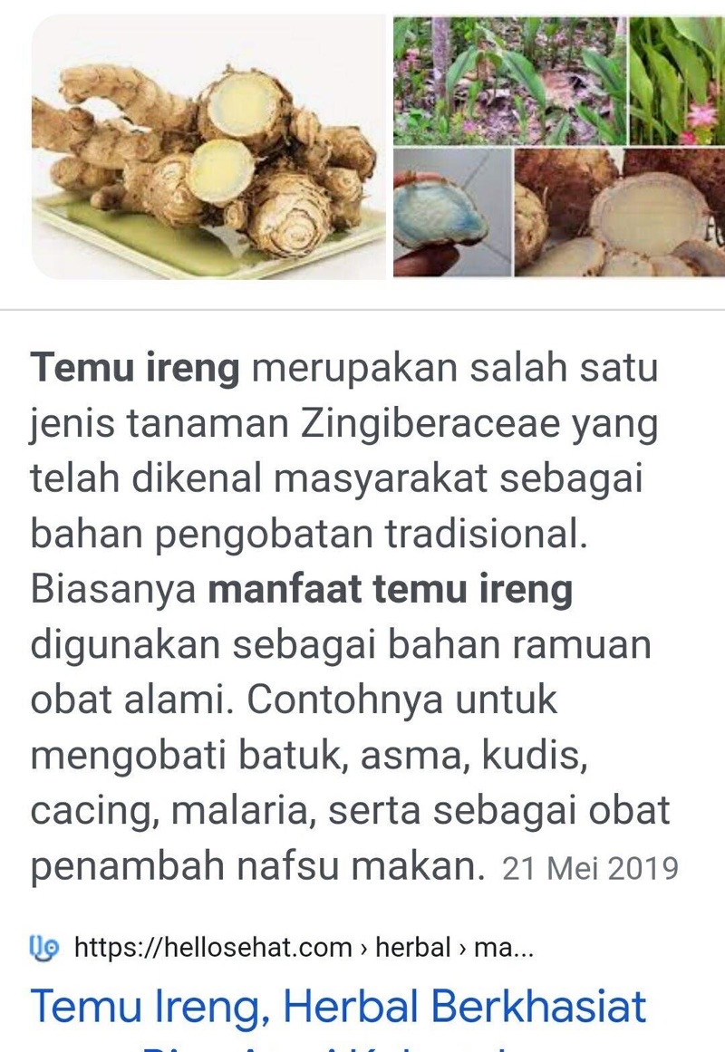 SERBUK TEMU HITAM/TEMU IRENG (100g) | Shopee Malaysia