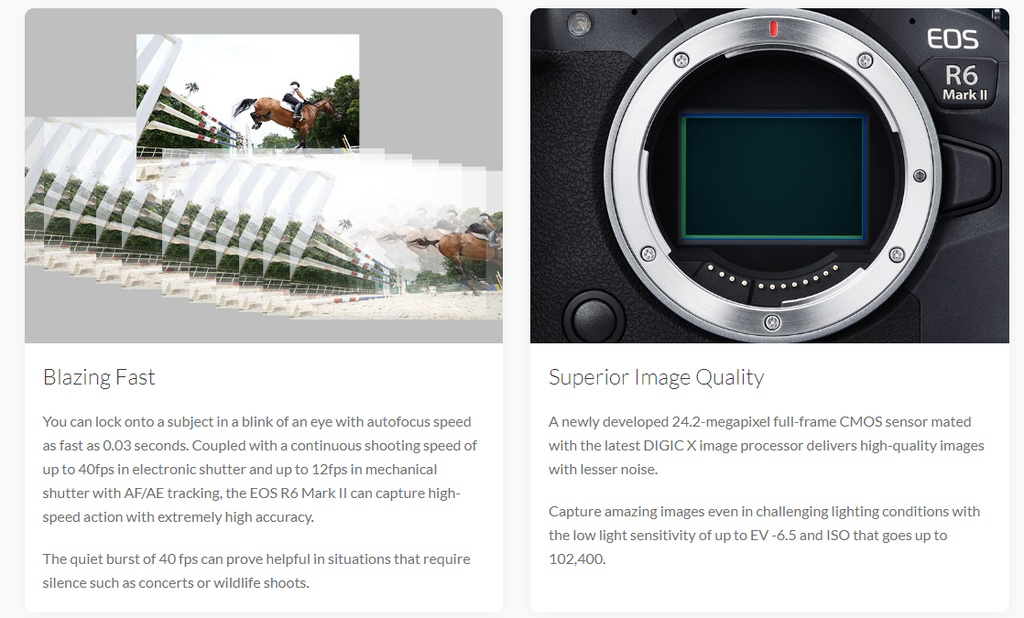 Canon EOS R6 Mark II / EOS R6 II / EOS R6II Mirrorless Camera + RF 24 ...