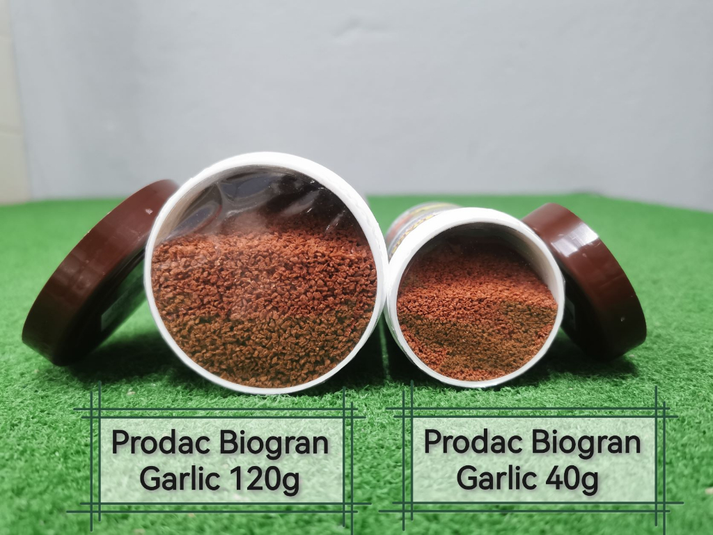 Prodac Biogran Garlic (40g/120g) Small Fish Food. Makanan Ikan Kecil ...