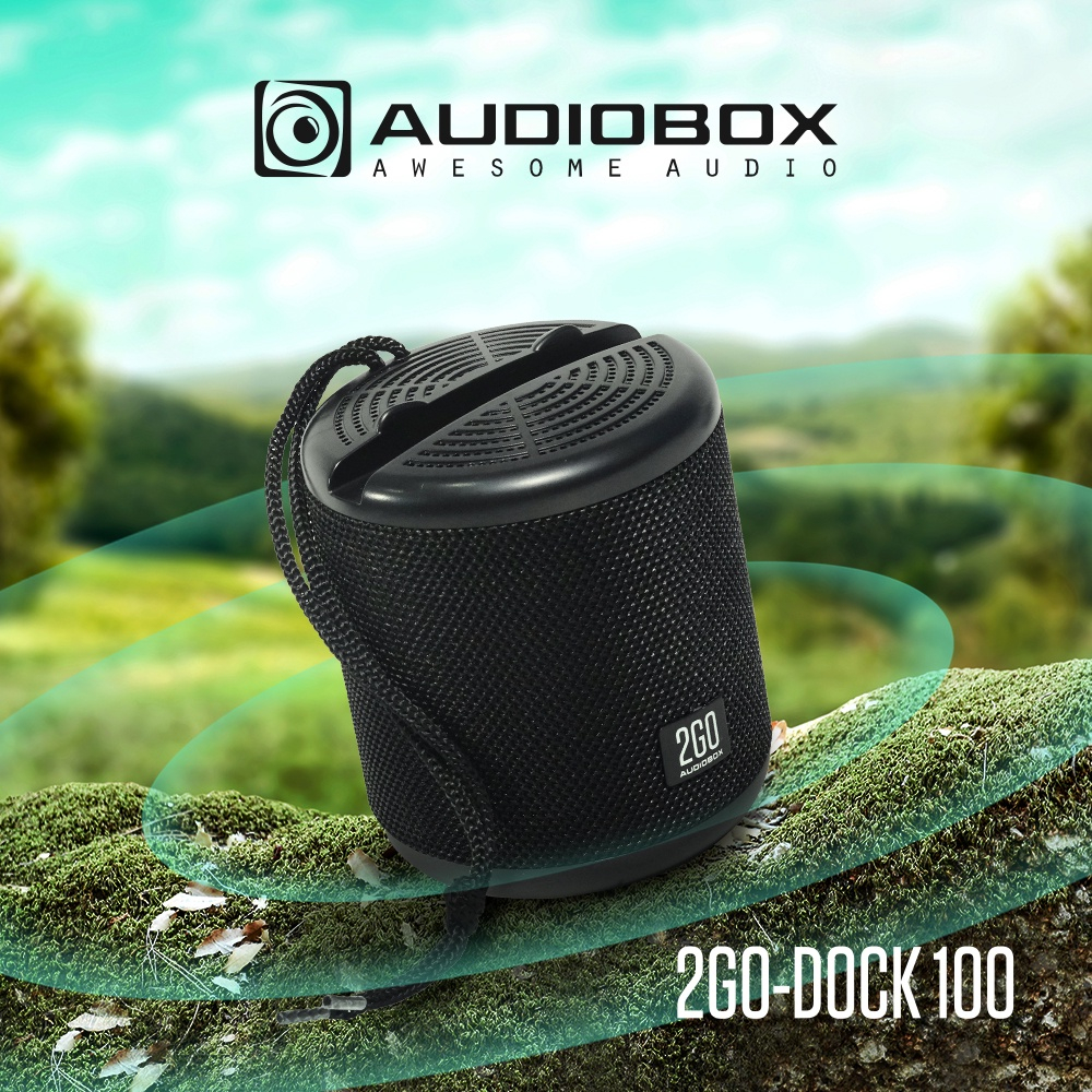 Audiobox 2GO-Dock 100 TWS Bluetooth Portable Docking Speaker - Black ...