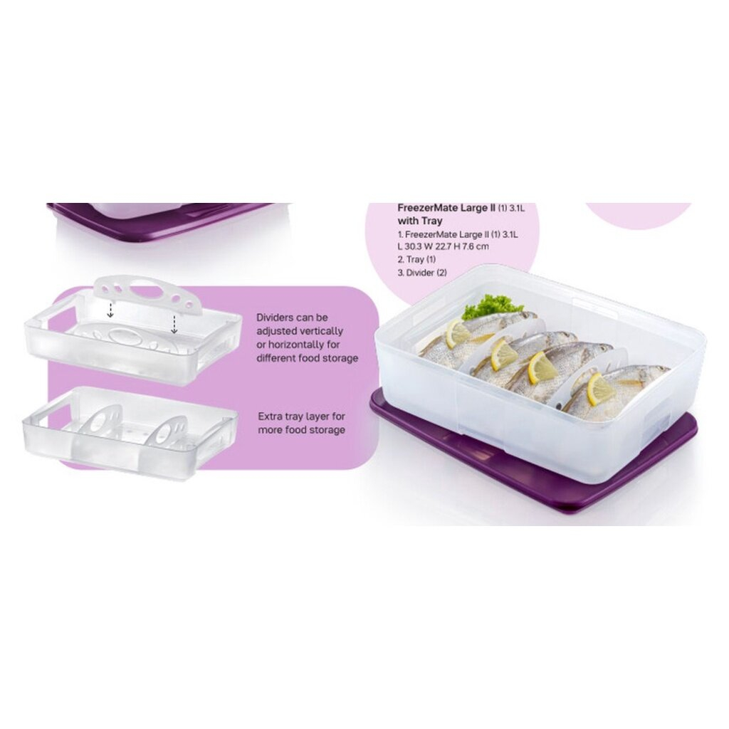 OFFER: Tupperware Freezermate 3.1L Frozen Fish Prawn Meat Chicken ...