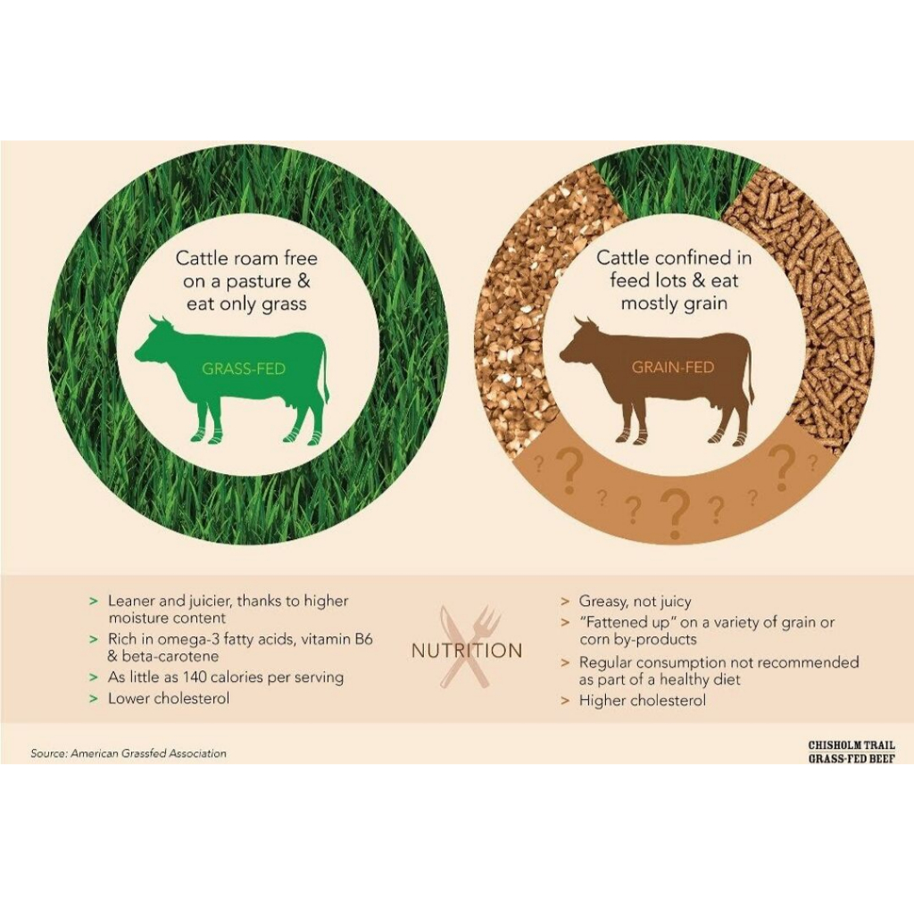 [10 FREE 1]BRAZIL PRIME STEER (PS) GRASS FED BEEF RIBEYE STEAK 200gm ...