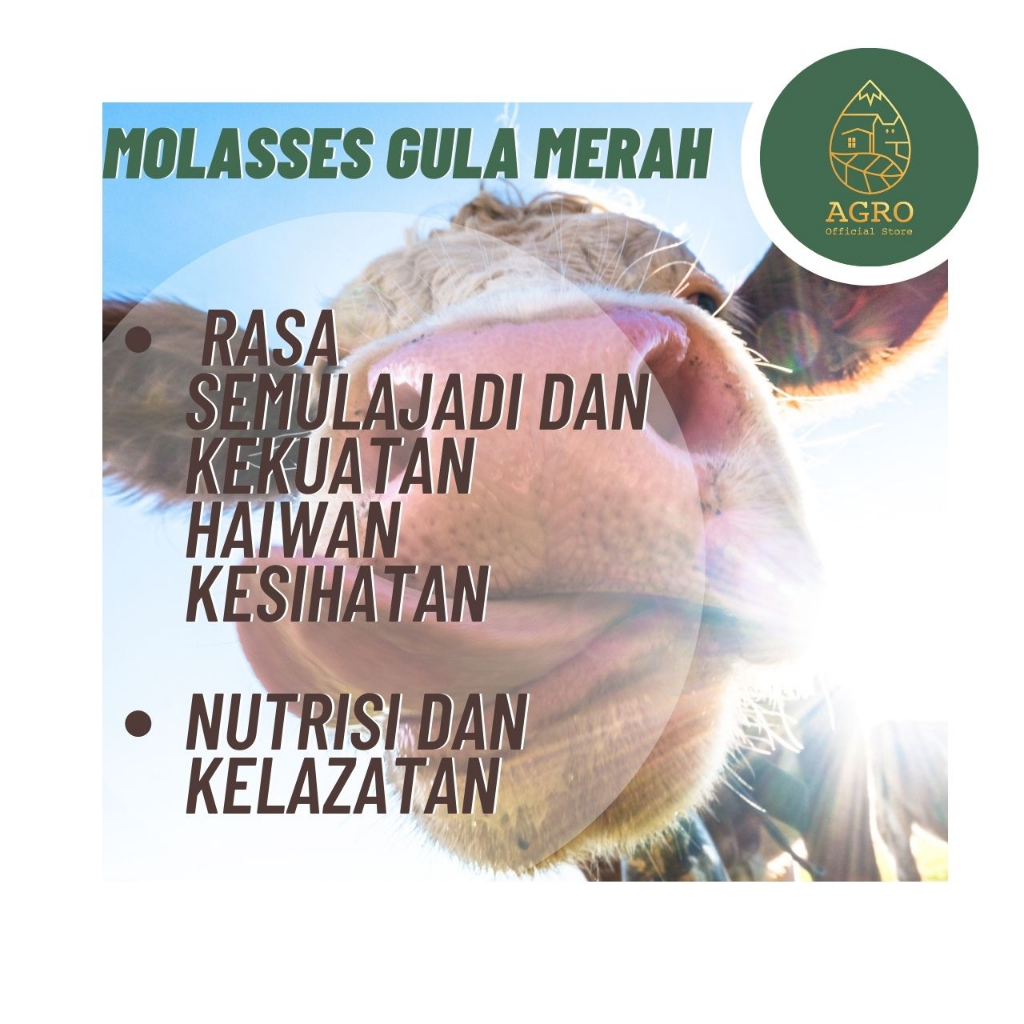 25Kg 20L- Molasses Gula Merah Untuk Pertanian & Penternakan B Non-food ...