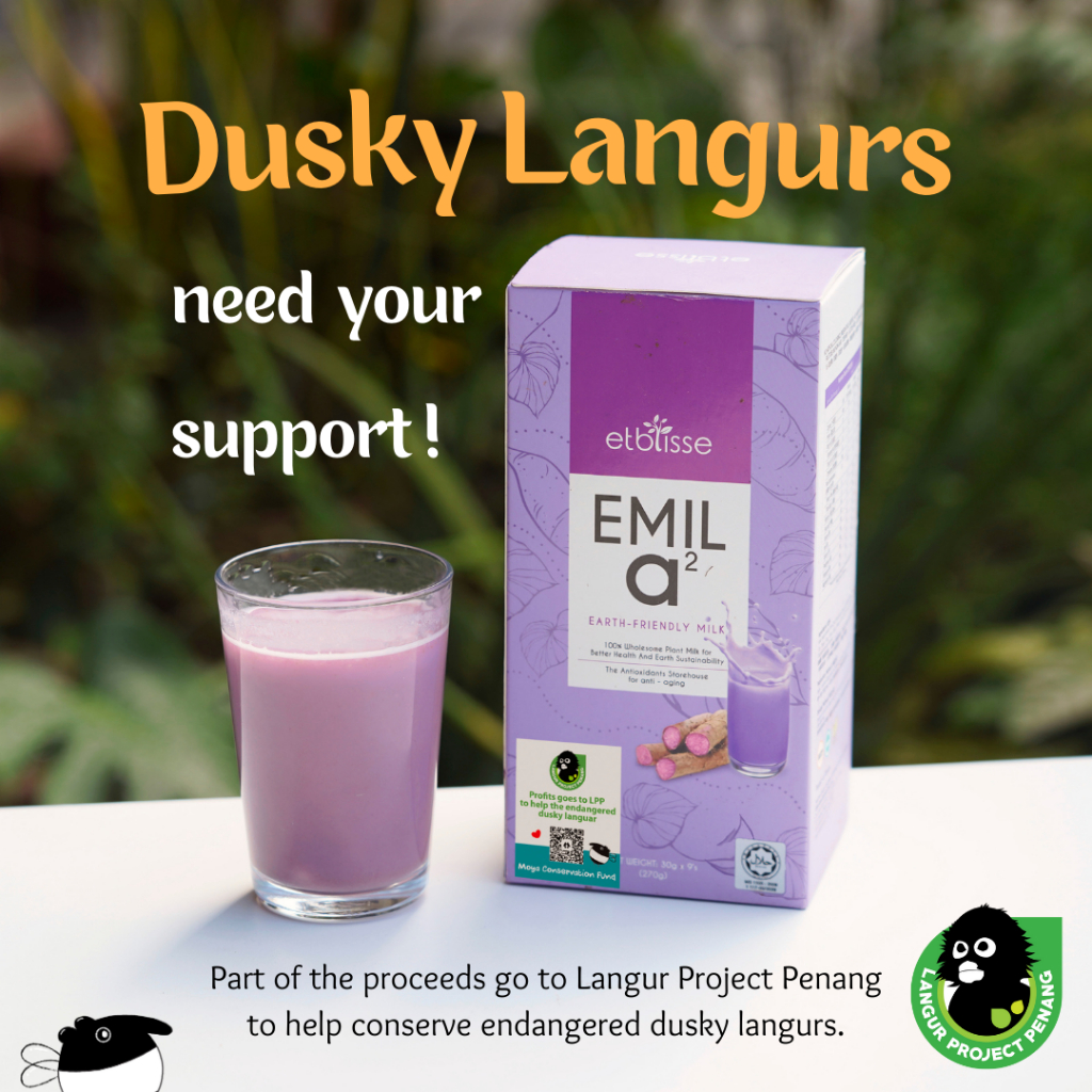 Etblisse Emil a2 Purple Vision Milk Sachet Box - Halal (270g/9's x 30g) | Shopee Malaysia