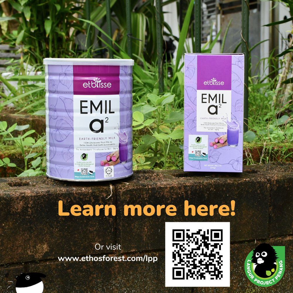 Etblisse Emil a2 Purple Vision Milk Sachet Box - Halal (270g/9's x 30g ...