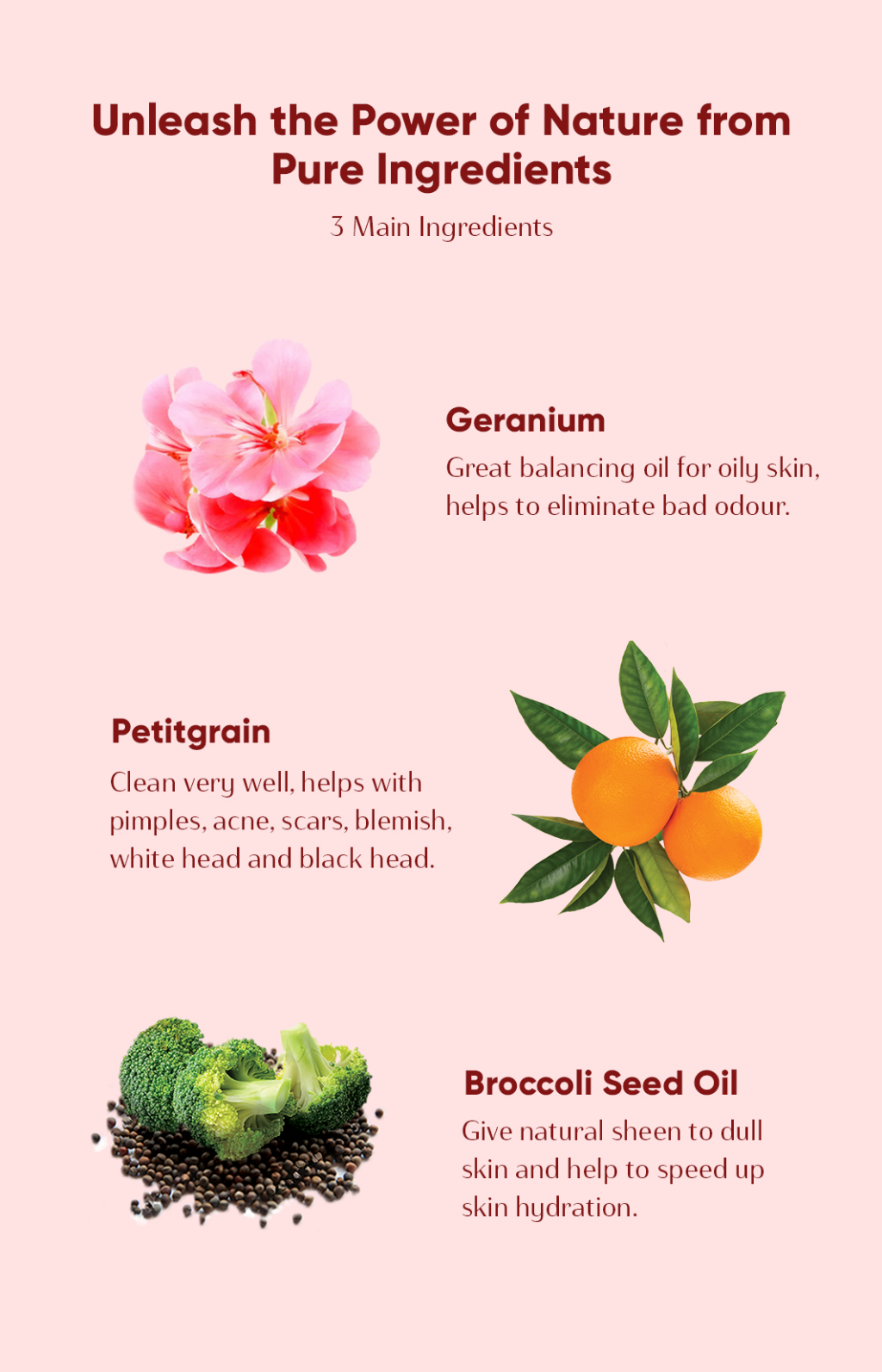 The Olive Tree Geranium Body Wash & Lotion Set for Pimples /Dry/ Itchy ...