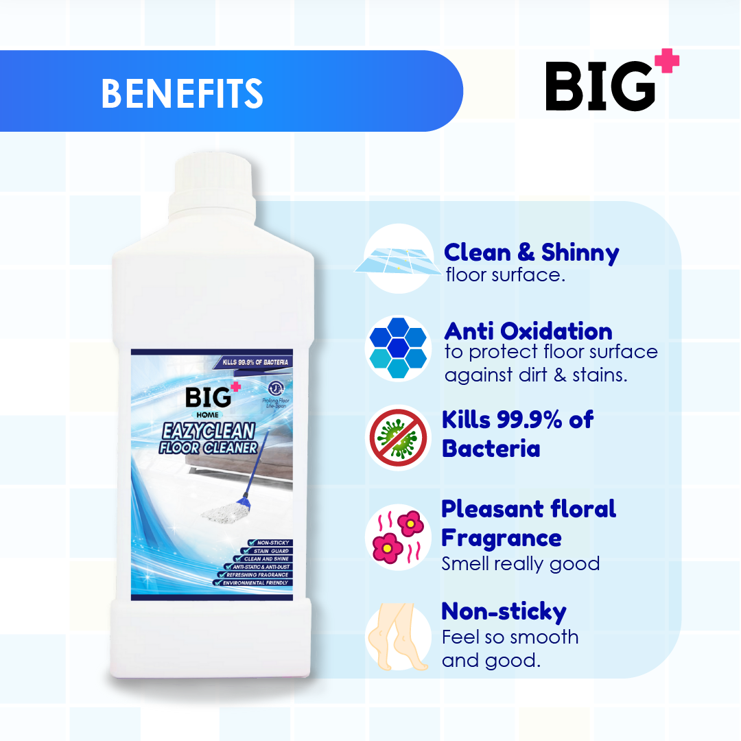 BIG+ Plus Heavy Duty Stain Remover 1000ML/EazyClean Floor Cleaner ...