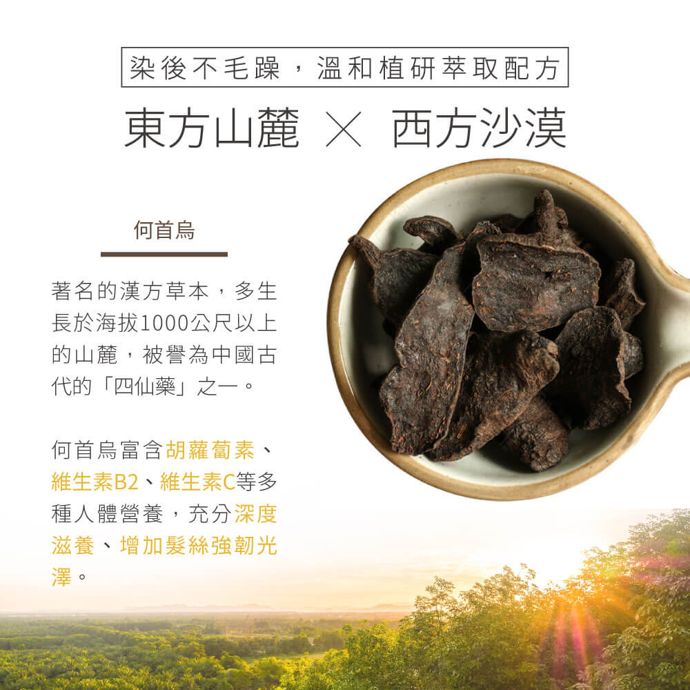 KAFEN Sa La Hei Yo Hair Color Shampoo 400ml (Black/Brown/Cocoa) White ...