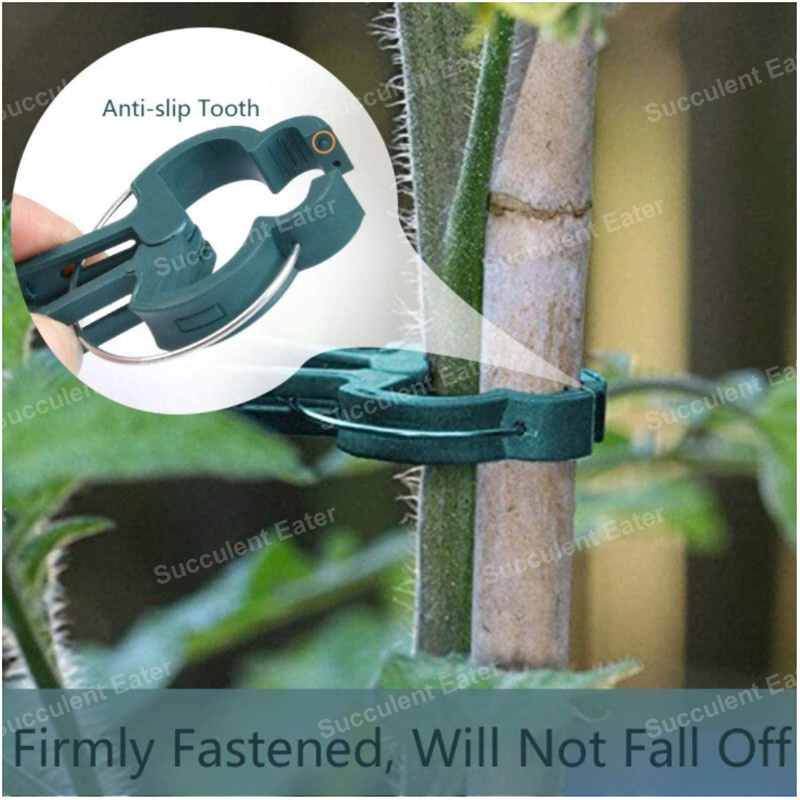 Garden Clip for Plant Flower Lever Loop Gripper Clips Fastener Flower ...