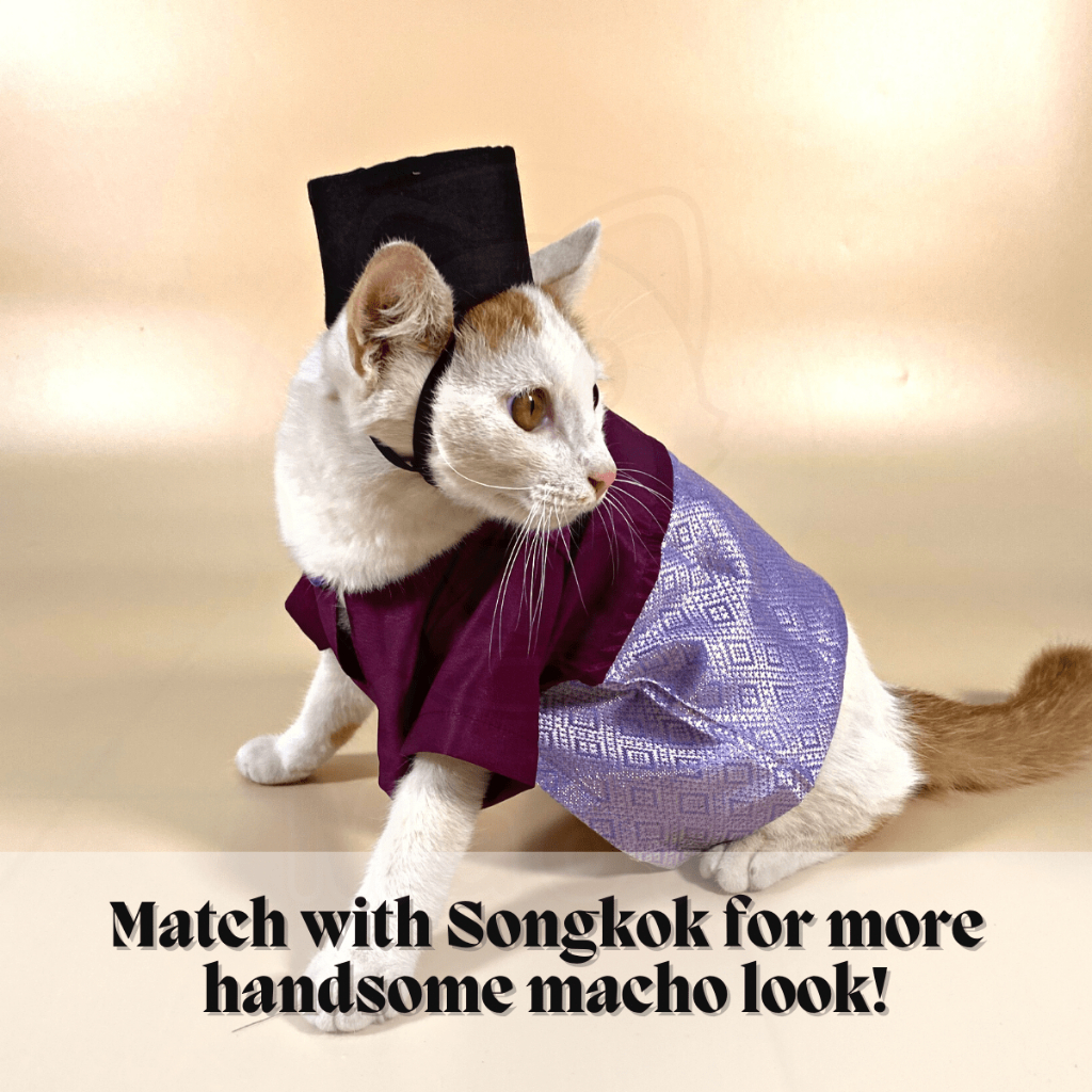 MaoH Baju Raya Kucing Jantan (Dark Purple) Teluk Belanga Sampin 2024 ...
