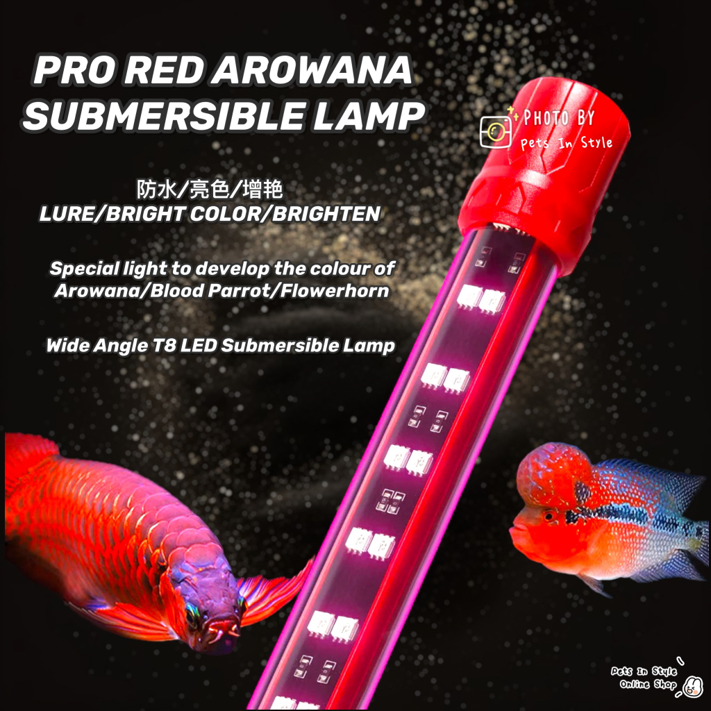 Ready Stock‼️ NIROX PRO RED AROWANA SUBMERSIBLE LAMP/LED DISPLAY ...