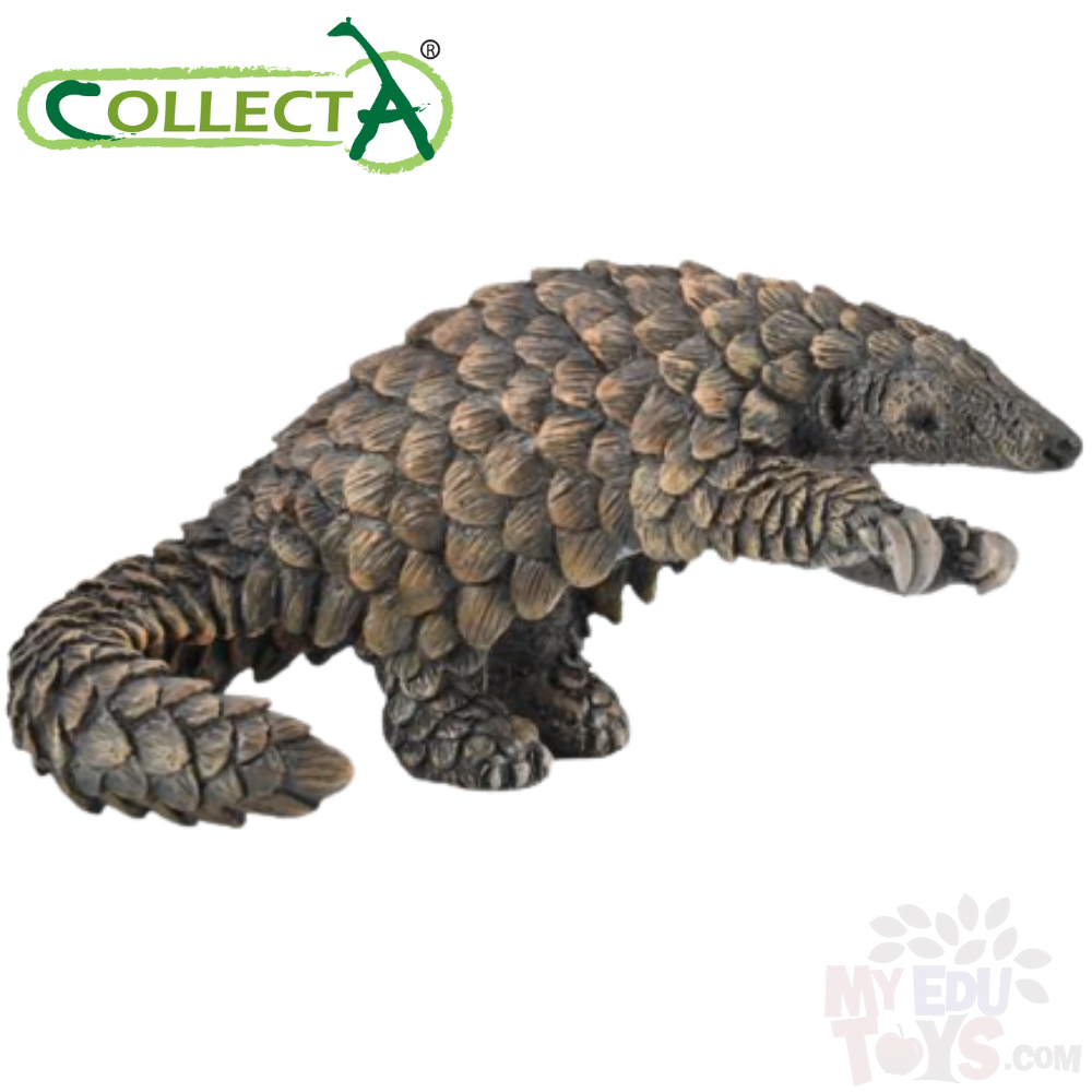 Pangolin - Collecta 88995 Wild Life Afica Animal Action Figurine / Toy ...