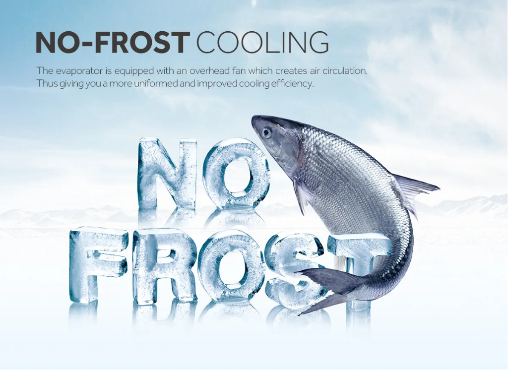 Haier Upright Freezer Digital Touch Control Frost Free BD-248WL BD ...