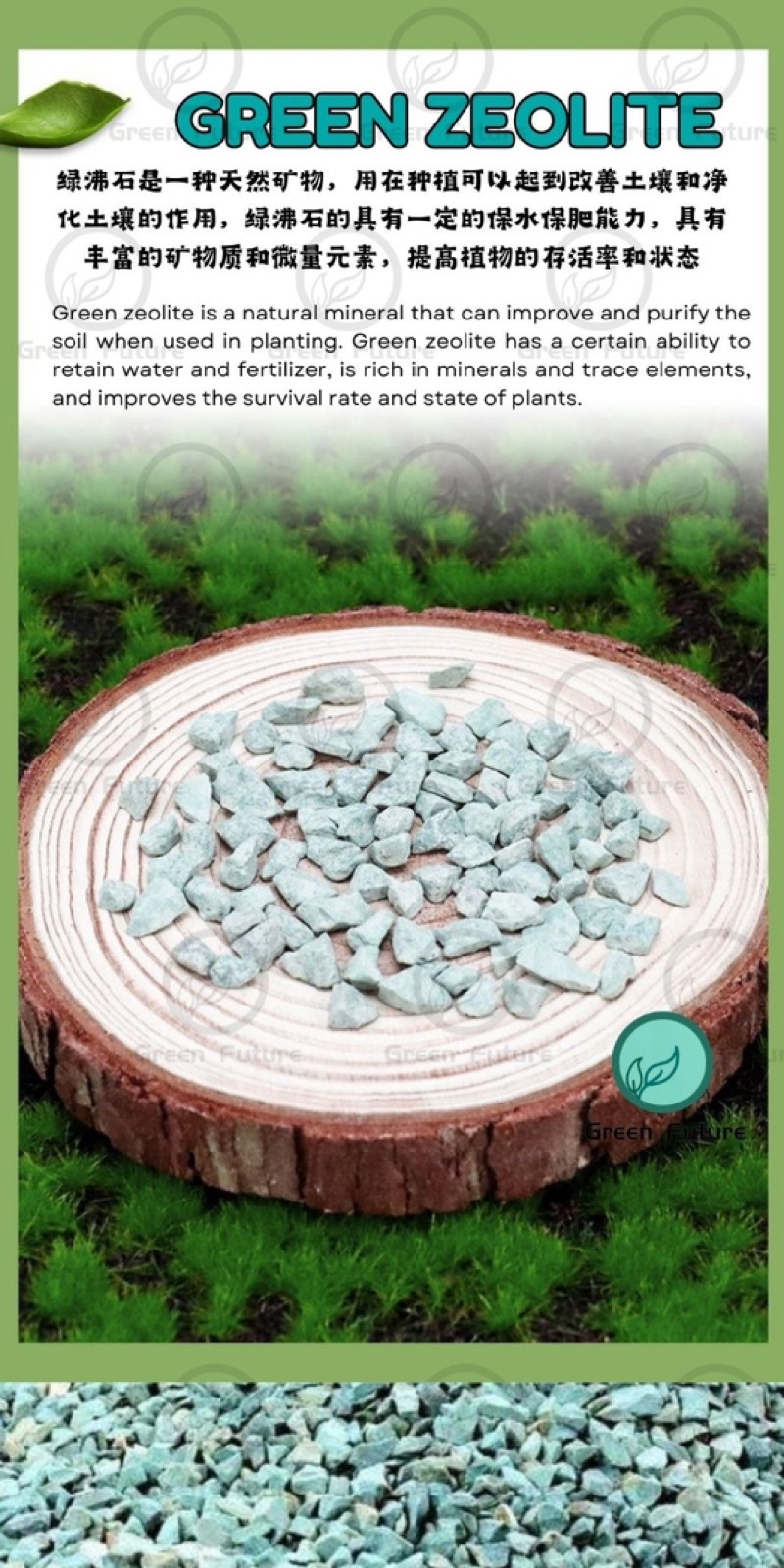 Green Zeolite Cactus Succulent Stone Tanah Succulent soil Dan Kaktus 绿 ...