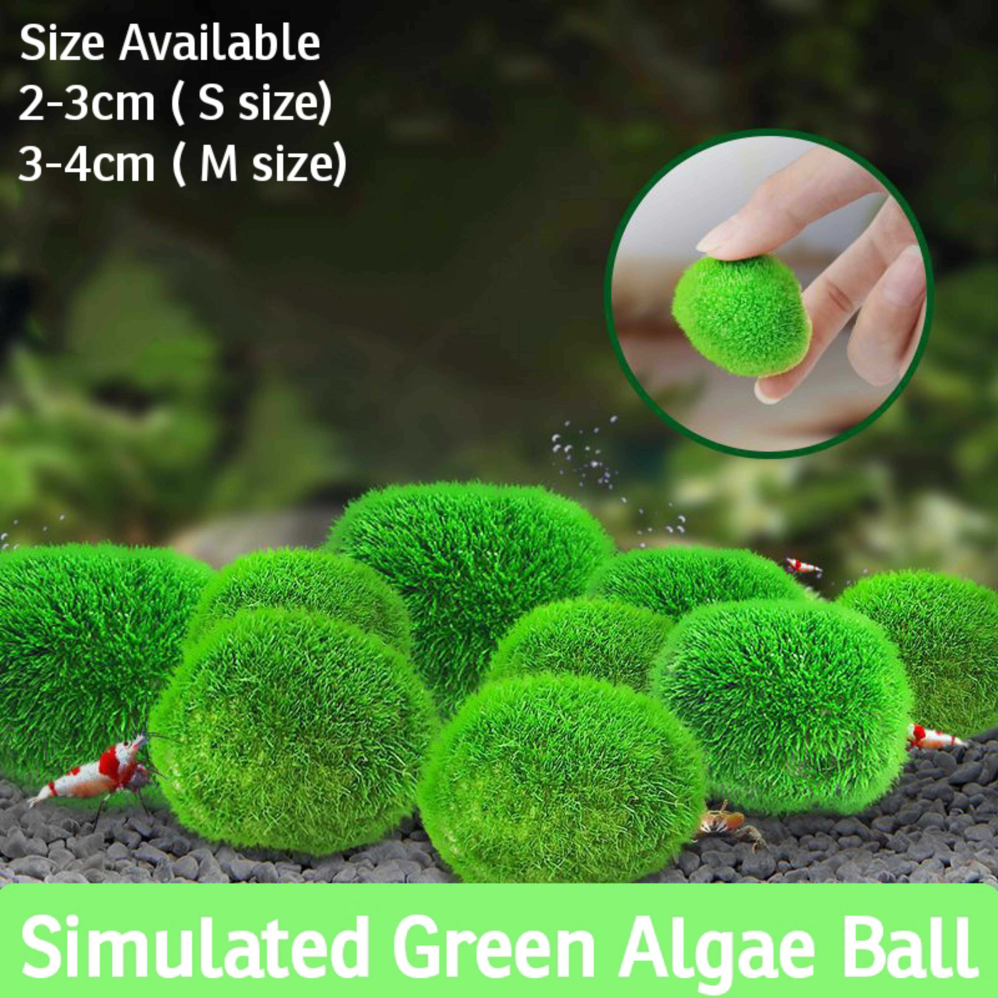 Ready Stock ( FAKE PLANT) Simulated Green Algae Ball Aquarium Decor ...