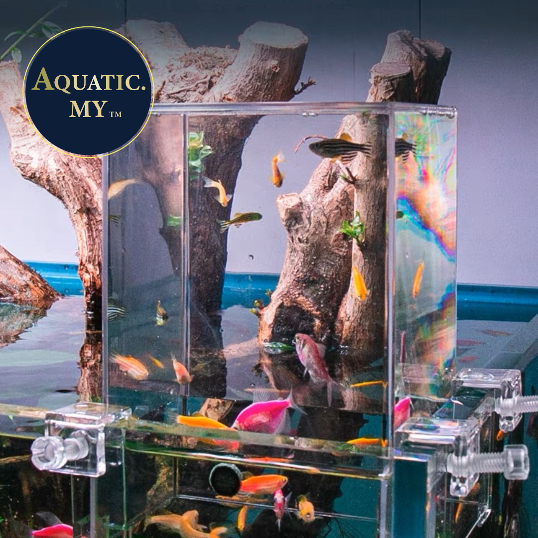 Negative Pressure Fish Tank Fish Elevator/ 鱼缸负压缸 / Tangki Ikan Tekanan ...