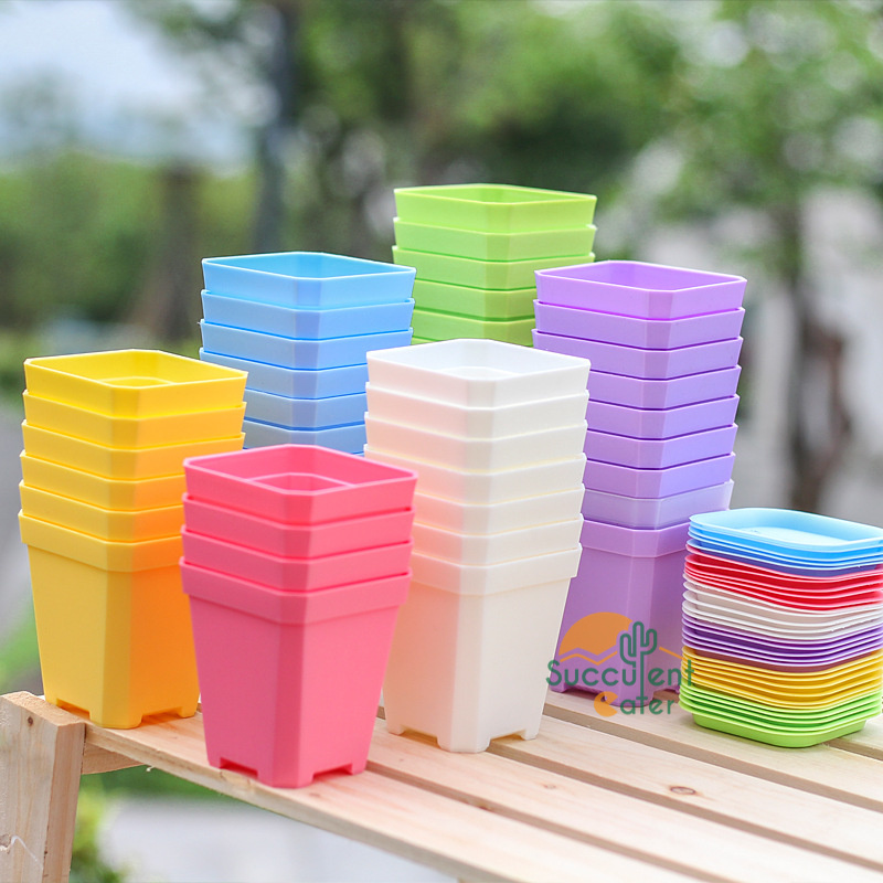 7cm Super Thick Square Colourful Succulent Cactus Plastic Pot Pasu Mini ...