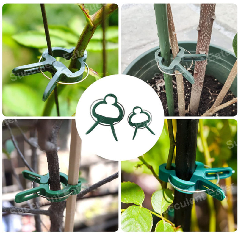 Garden Clip for Plant Flower Lever Loop Gripper Clips Fastener Flower ...