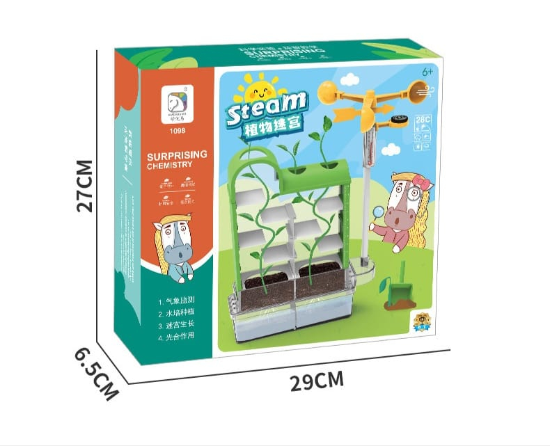 (Ready Stock) DIY Grow Maze Plant Kits stem science experiments plant ...