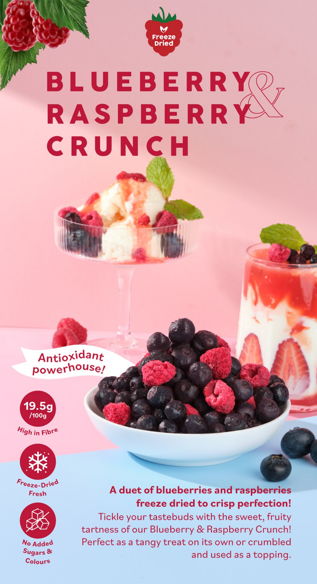 Signature Market Blueberry & Raspberry Crunch (Freeze-Dried) (25g ...