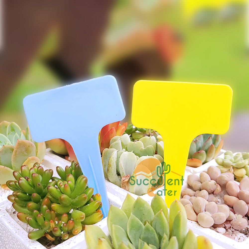 Plant Label Tag 6x10cm Garden Plant Flower Label Tag Nursery Thick T ...