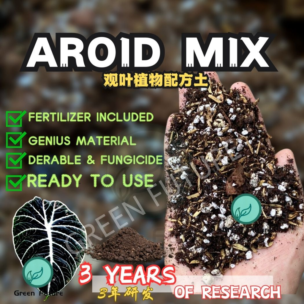 AROID MIX Soil Mix for Begonia \ Syngonium \ Anthurium\ Monstera ...