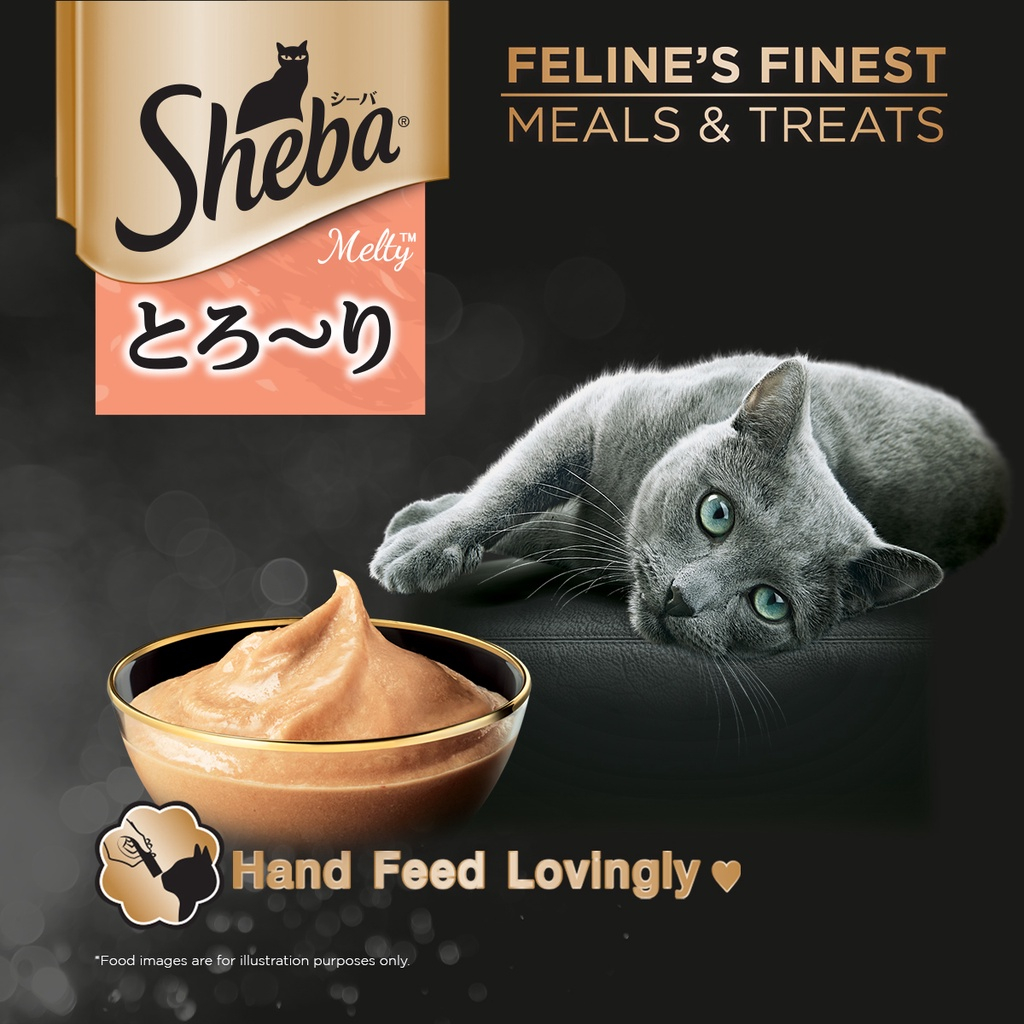 Sheba Melty Creamy Cat Treat 48G | Shopee Malaysia