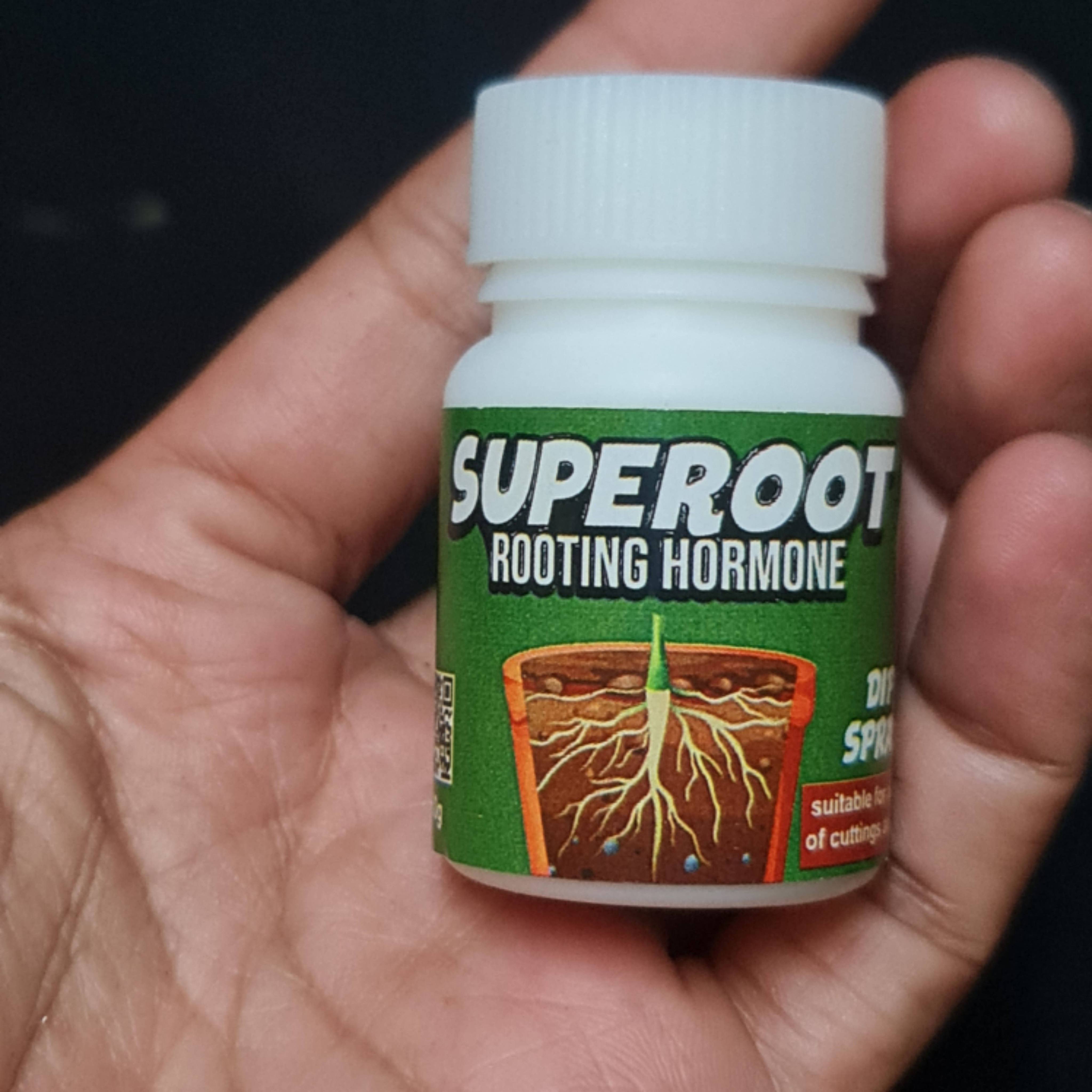 ubat akar rooting hormone root powder fast action 根粉，根激素，速效 | Shopee ...
