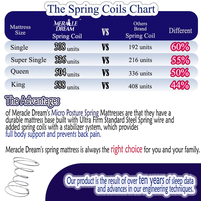 SPINE FIRM SPRING MATTRESS - Spine Firm/SINGLE/SUPER SINGLE/QUEEN/KING ...