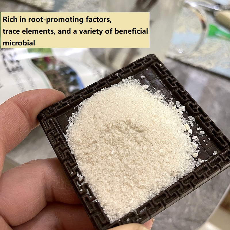 Take Root Fast-Acting Nutrient Rooting Powder 康益 植物 强力生根粉 Baja Pengalak Akar Serbuk Akar Kuat ...
