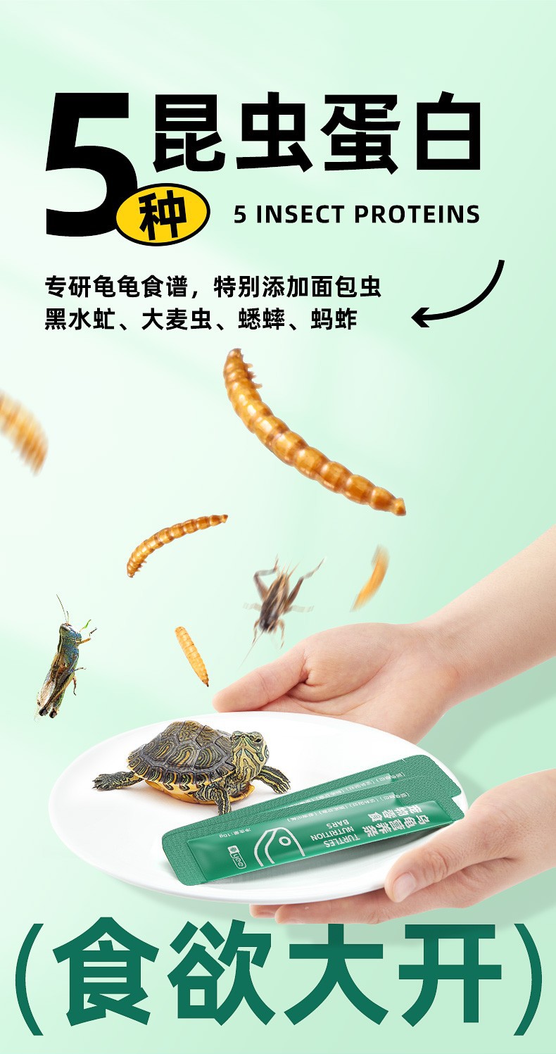 Turtle Nutrition Bar High Protein Turtle Snacks Nutrient Rich Turtle ...