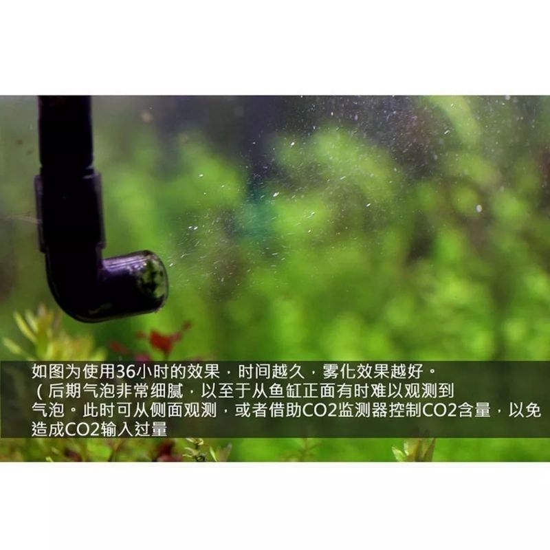 Qanvee CO2 Inline Diffuser/Atomizer for 12mm/16mm Canister Filter Hose (Planted tank/Aquarium ...