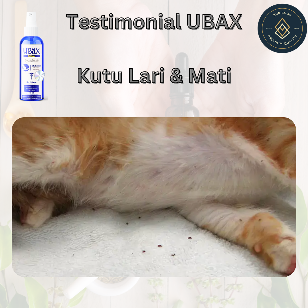 Ubax Ubat Kutu Kucing Ubax Kucing Kutu Ubat Spray Kutu Kucing 100mL ...