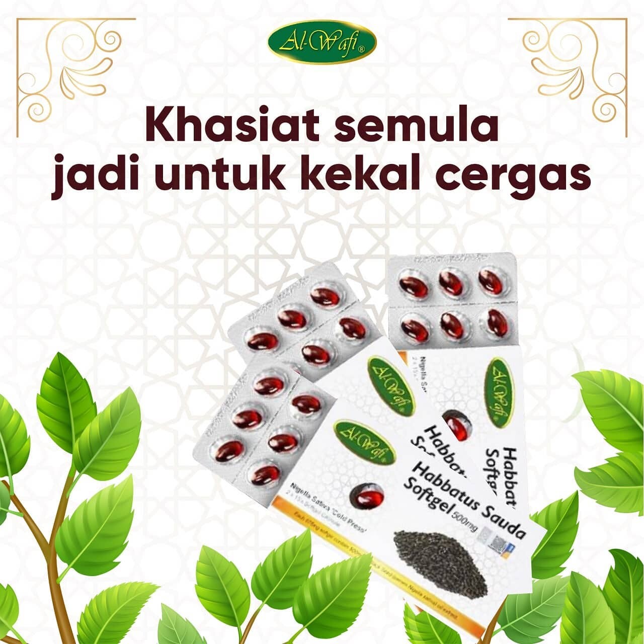 Al Wafi Kopi Habatussauda Coffee 3in1 Bermadu 20 Sachet Kismis Habbaus Sauda Kapsul SoftGel ...