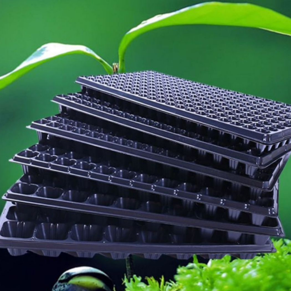(5pcs) 育苗盘 Holes Seedling Tray Plastic Nursery TrayBekas Benih Plastic ...