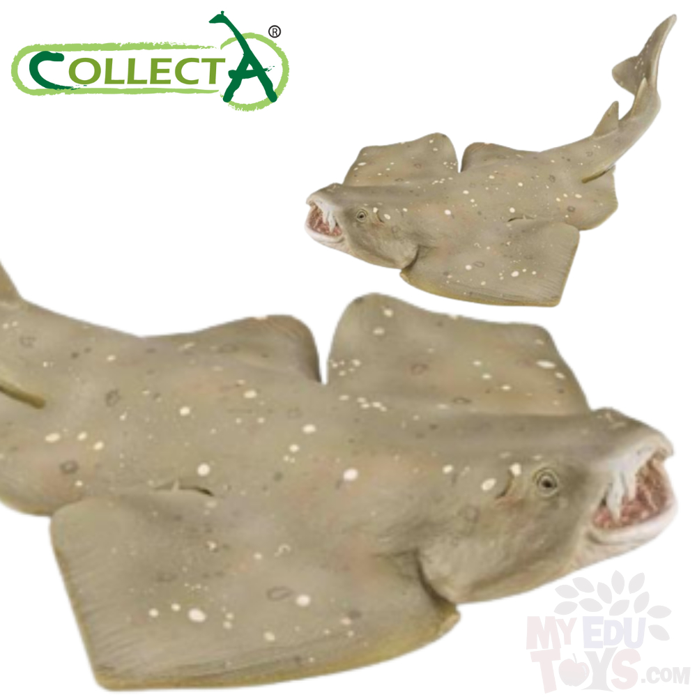 Angle Shark - Collecta 88999 Ocean Sea Life Animal Action Figurine ...