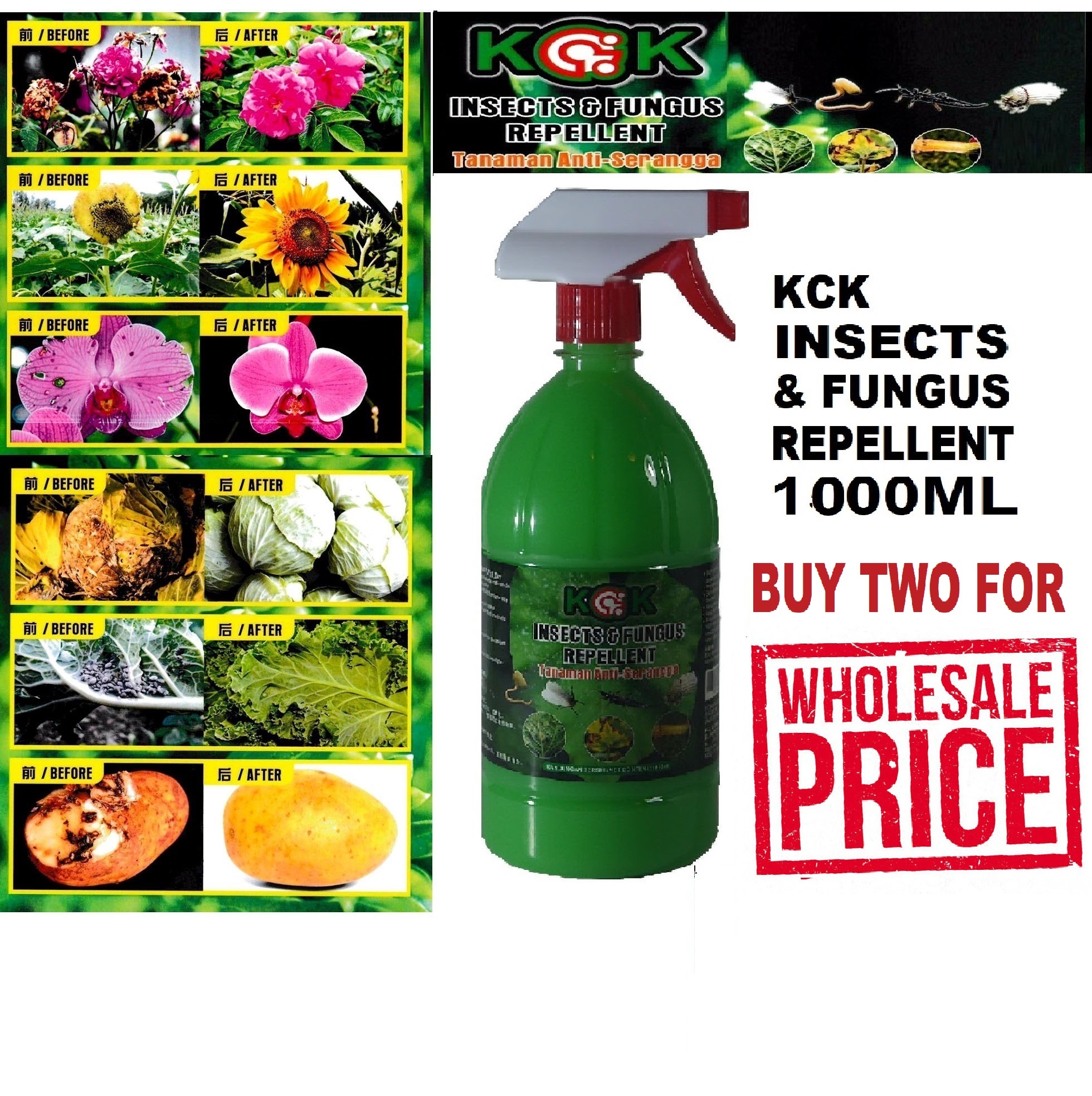 KCK Insects & Fungus Repellent/Plant Repellent/Tanaman Aanti-Serangga ...