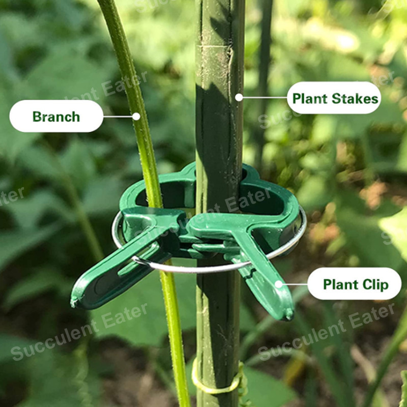 Garden Clip for Plant Flower Lever Loop Gripper Clips Fastener Flower ...